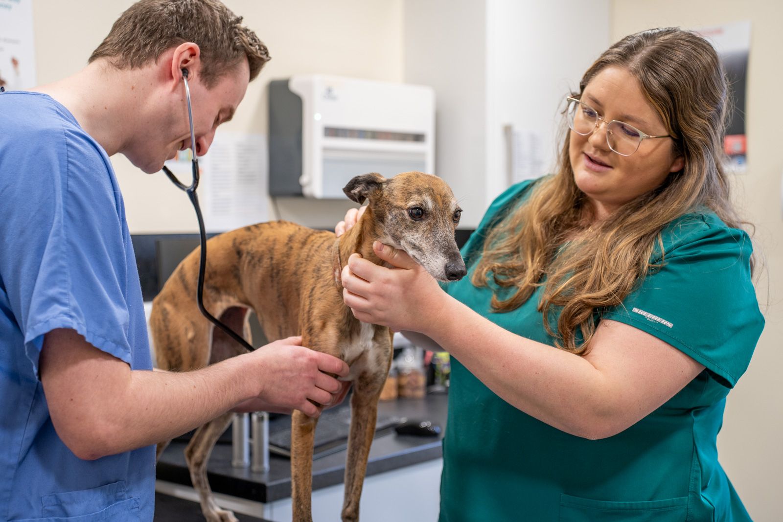 Lymm Vets | Friendly Pet Care in Lymm, Cheshire